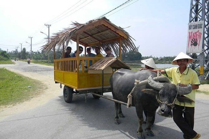 Private Countryside with Buffalo Cart tour - Half Day - Introduction to the Countryside Tour