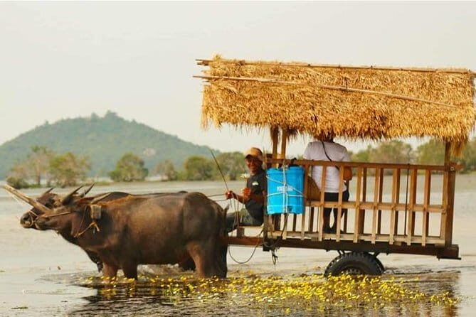 Private Countryside with Buffalo Cart tour - Half Day - Who Will Benefit Most