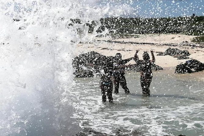 Private Cozumel accesible adventour en silla de ruedas - Who Should Book This Tour?