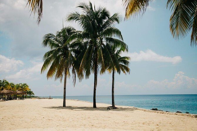 Private cozumel full day adventure - Authentic Experiences and Genuine Insights