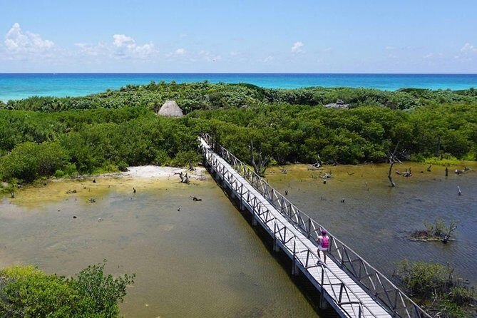 Private cozumel full day adventure - Final thoughts: Is this tour right for you?