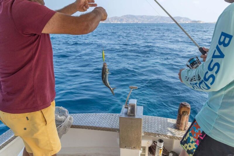 Private Cruise  Half Day Pollonia Polyaigos - Value and Pricing Considerations