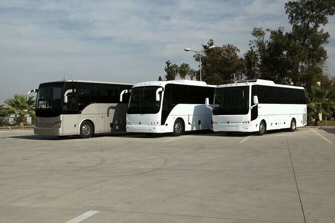 Private Cruise Port Transfer from MIA Airport or Any Miami Hotel - Who Should Book This?