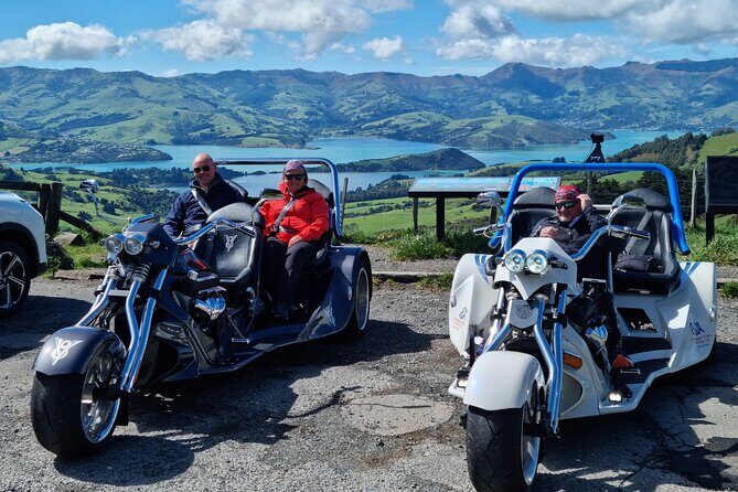 Private Cruise Ship Passengers Tour, Sightseeing in Christchurch - The Sum Up