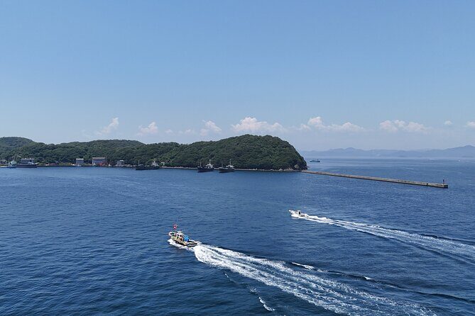 Private Cruise to Ieshima Island with Lunch Included - Relaxing at Maamii Café