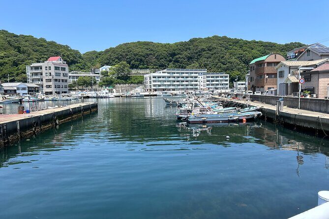 Private Cruise to Ieshima Island with Lunch Included - Practical Details and Considerations