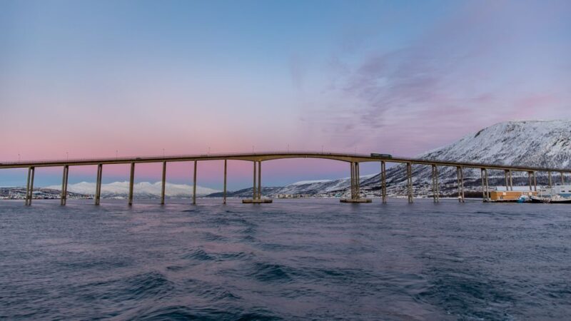 Private Cruise with High Speed RIB - An In-Depth Look at the High-Speed RIB Tour