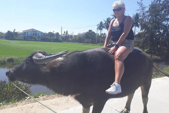 Private Cruiseship from CHAN MAY Port to visit HOI AN COUNTRYSIDE & Foot Massage - Transportation and Logistics