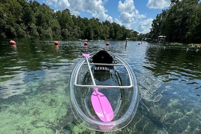 Private Crystal Clear 2 HR Kayak/Paddle Rental on Rainbow River - What to Expect From Your Rainbow River Experience
