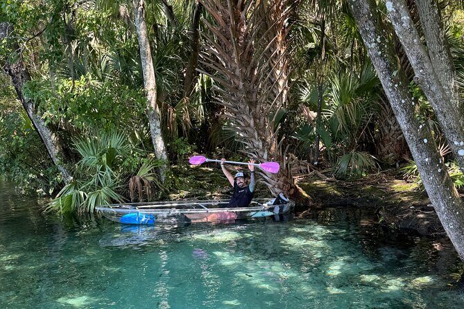 Private Crystal Clear 2 HR Kayak/Paddle Rental on Rainbow River - Analyzing the Price and Value