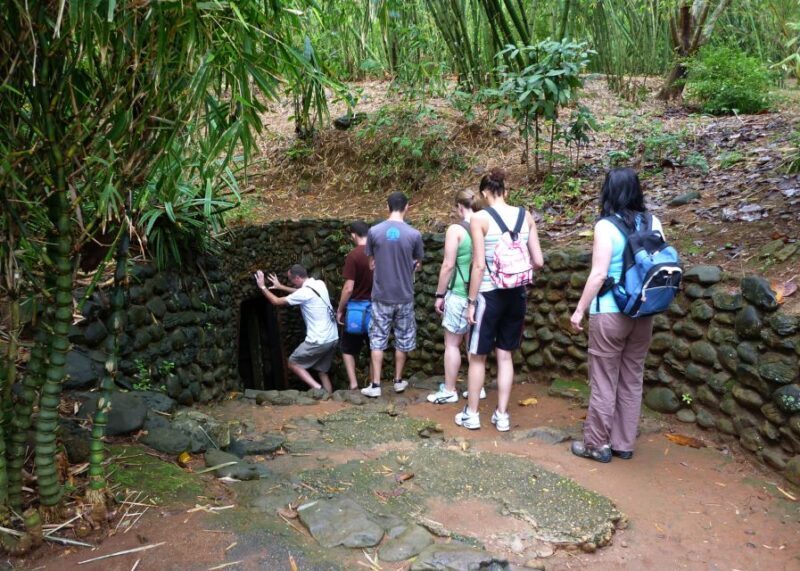 Private Cu Chi & Mekong Delta Tour: History Meets Nature - Scenic Mekong River Experience