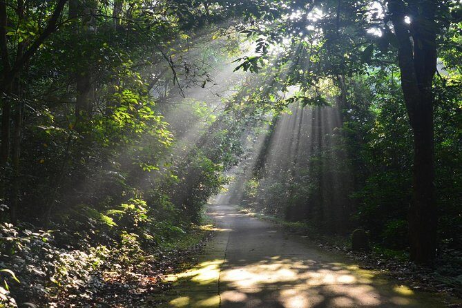 Private Cuc Phuong National Park Day Trip - What Travelers Say and Why It Matters