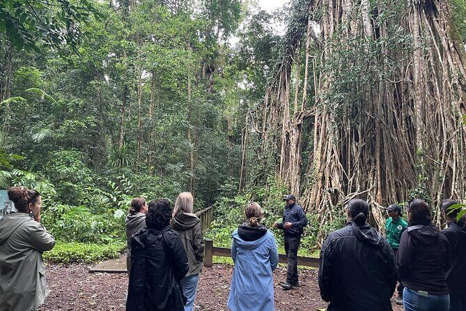 Private Cultural Discovery Tour on the Atherton Tablelands - Final Thoughts: Who Will Love This Tour?