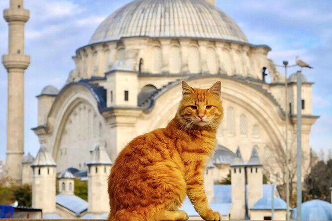 Private Cultural Tour of Istanbul: 1 or 2-Day Tailored Experience - Key Points