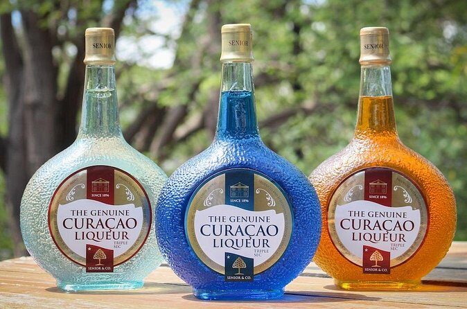 Private Curaçao Heritage Tour A Private Curaçao Journey - Who Will Love This Tour?