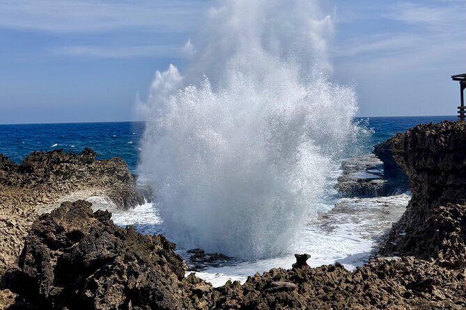 Private Curaçao West Coast: Beach & Nature Photography Tour - An Overview of the Tour Experience