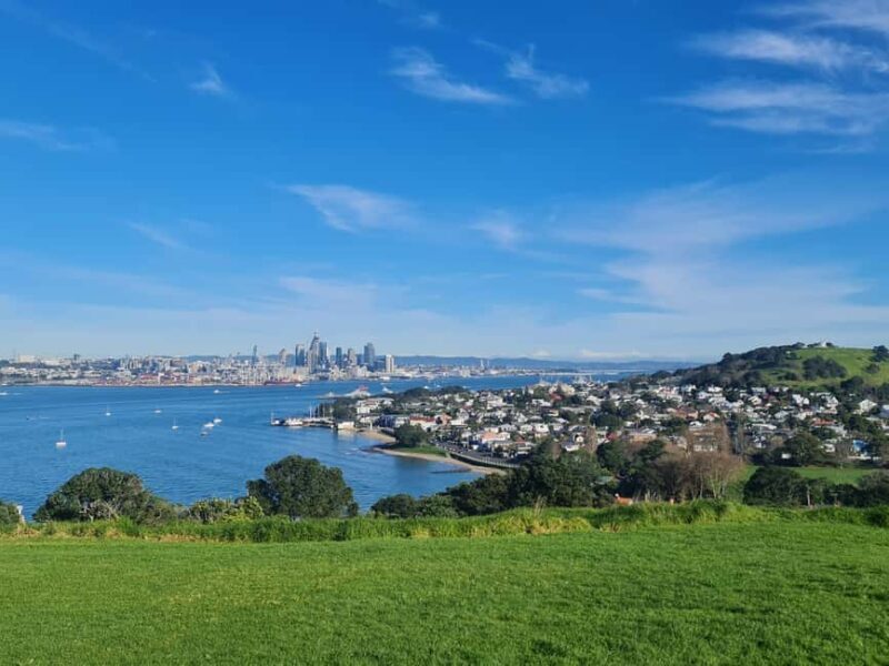 Private Custom: Auckland City Hidden Gem Tour - Key Points