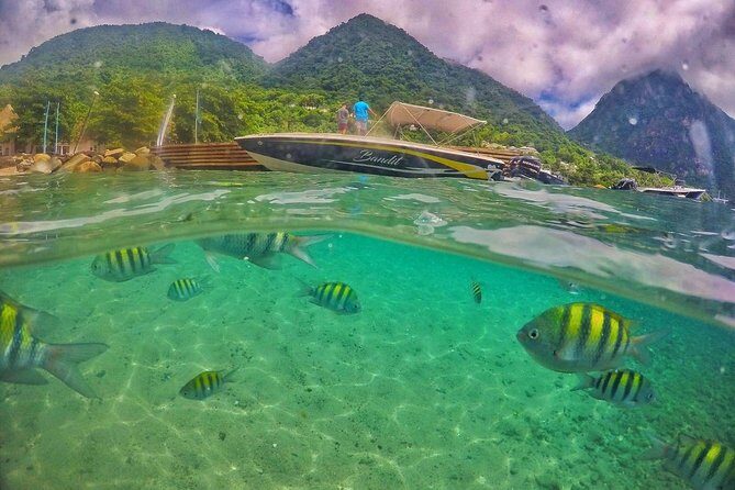 Private Custom Coastal Cruise St. Lucia Half Day - The Value of a Private Tour