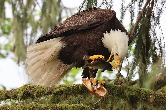 Private Custom Excursion with a Local for up to 14 people - Exploring the Best of Ketchikan with a Private Local Guide