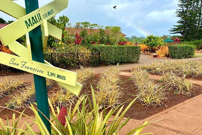 Private Custom Oahu Island Tour | Flexible Day Options (Up to 10) - Final Thoughts