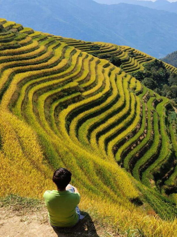 Private Custom Tour: 2 day Longji Rice Terraces Private Tour - FAQ