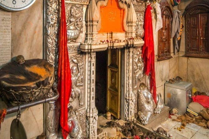 Private Custom Tour: Bikaner Sightseeing with Guide - FAQs