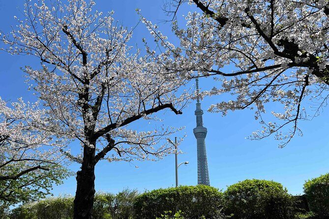 Private Custom Tour in Tokyo with a Bilingual Japanese Guide - Exploring Tokyo with a Private Custom Tour and a Bilingual Guide