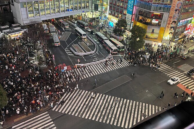 Private Custom Tour in Tokyo with a Bilingual Japanese Guide - Frequently Asked Questions