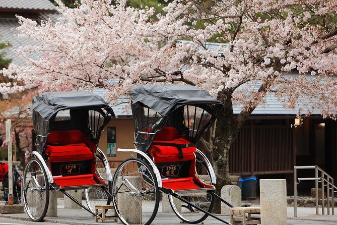 Private Custom Tour: Kyoto in One Day - Introduction