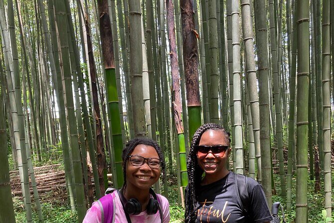 Private Custom Tour: Kyoto in One Day - The Practical Side: Transportation, Timing, and Cost