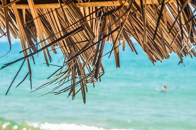 Private Custom Tour of Martinique - The Cost and Who Gets the Most Out of It