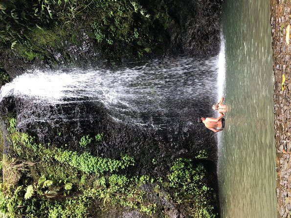 Private Custom Tour of Martinique - Who Should Consider This Tour?