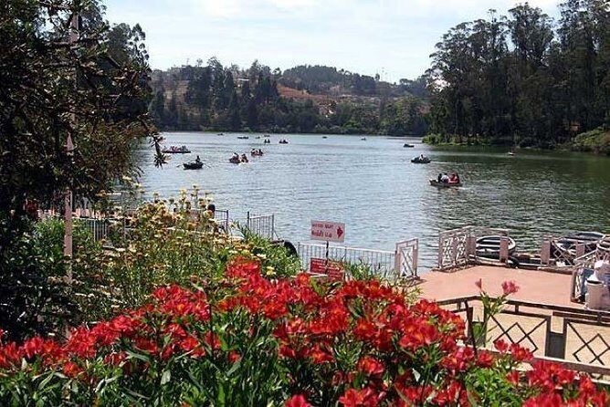 Private Custom Tour: Ooty Sightseeing with Guide - Who Will Love This Tour?