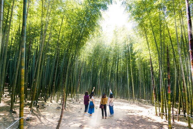 Private Custom Tour with a Local Guide Busan - The Sum Up: Is This Tour Worth It?