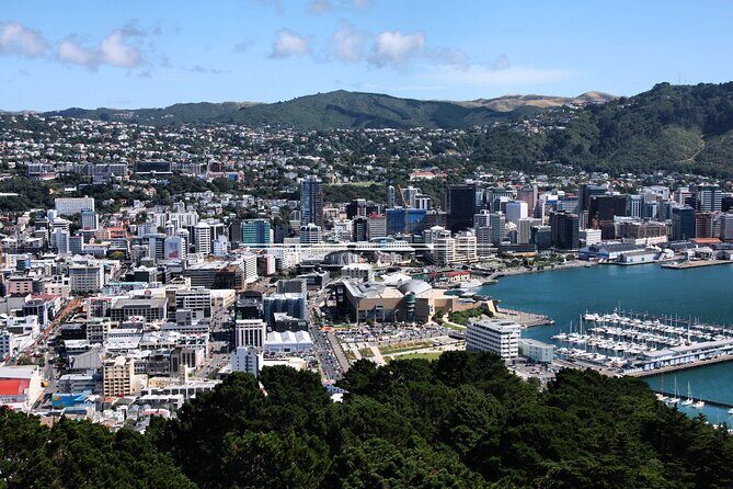 Private custom tour with a local guide Wellington - Key Points