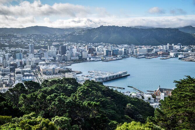 Private custom tour with a local guide Wellington - Exploring Wellington with a Personalized Touch