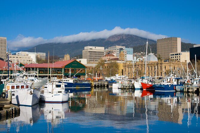 Private custom tour with a local guide Wellington - What Makes This Tour Stand Out?