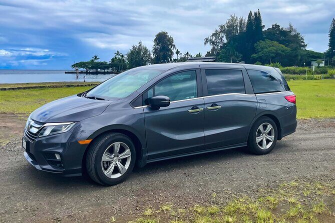 Private Custom Van Full-Day Guided Tour on Big Island of Hawaii - A Practical Guide to the Tour