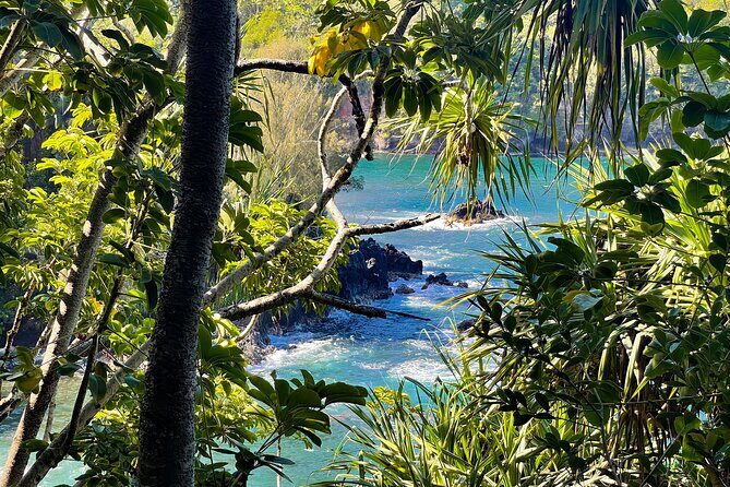 Private Custom Van Full-Day Guided Tour on Big Island of Hawaii - FAQ