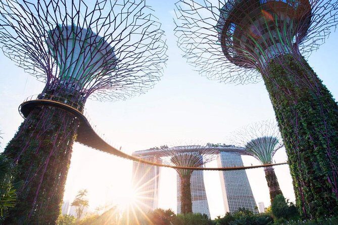 Private Customised Singapore Walking Tour - A Deep Dive into the Tour Experience