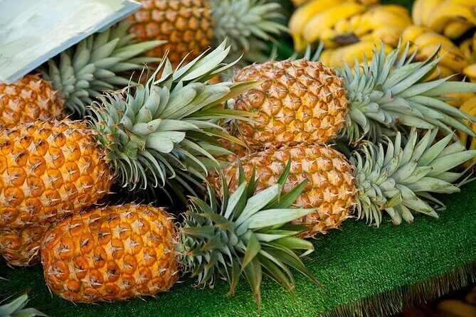 Private Customizable Grand Circle Island Tour on Oahu - The Experience: What You Can Expect
