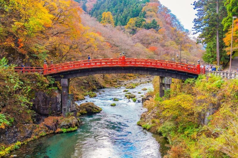 Private Customizable Nikko Full-Day Tour with English Driver - Cost and Value: Analyzing the Price