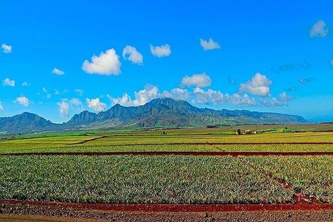 Private Customizable Oahu Grand Circle Island Tour from Waikiki - Itinerary Breakdown