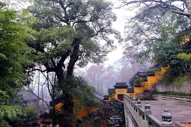 Private Customizable Tour: From Shanghai To Hangzhou With Chinese Lunch - What to Expect from This Hangzhou Day Trip