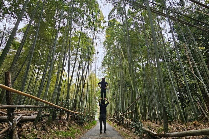 Private Customizable Tour in Kyoto - Exploring Kyoto in Style and Substance