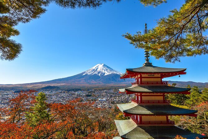 Private Customizable Tour in Mount Fuji - Exploring the Flexibility of a Private Tour