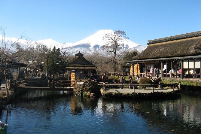 Private Customizable Tour in Mount Fuji - Value and Practicality
