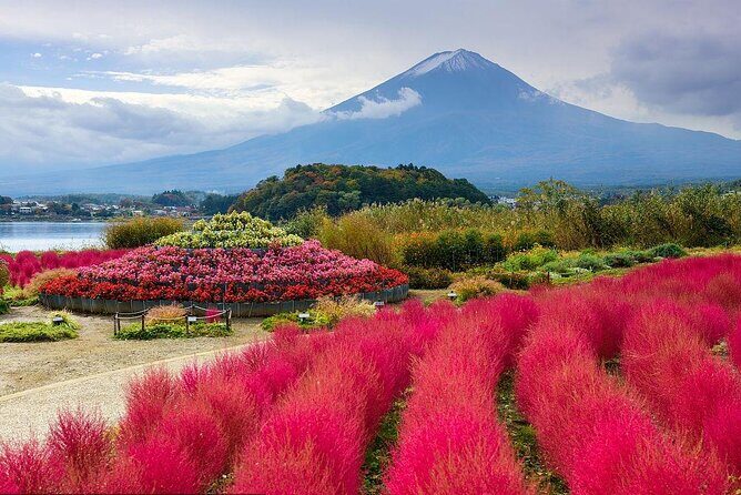 Private Customizable Tour in Mount Fuji - The Sum Up