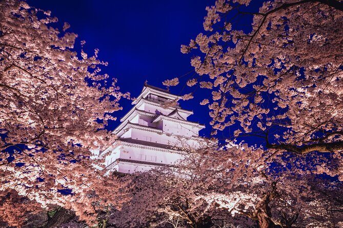 Private Customizable Tour in Tokyo - Why Consider a Private Tour in Tokyo?