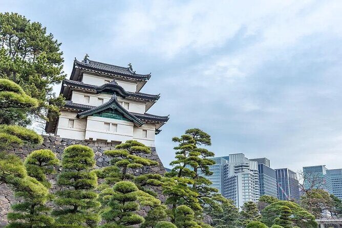 Private Customizable Tour in Tokyo - Practical FAQs